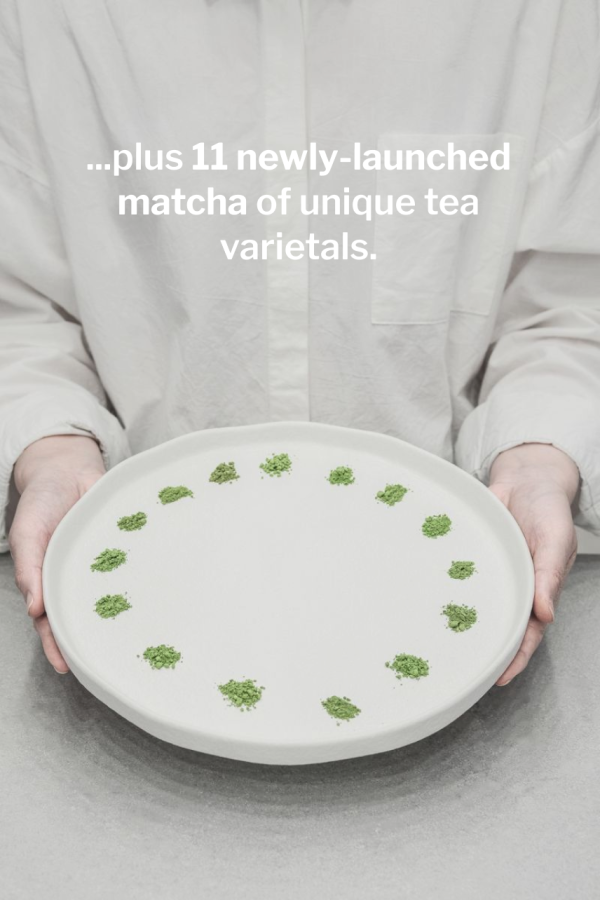 Niko Neko Matcha – Wholesale